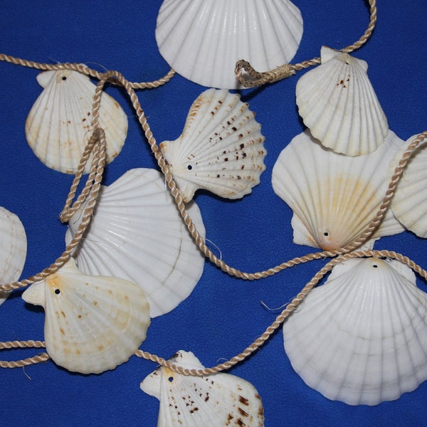 Seashell Garland - Etsy