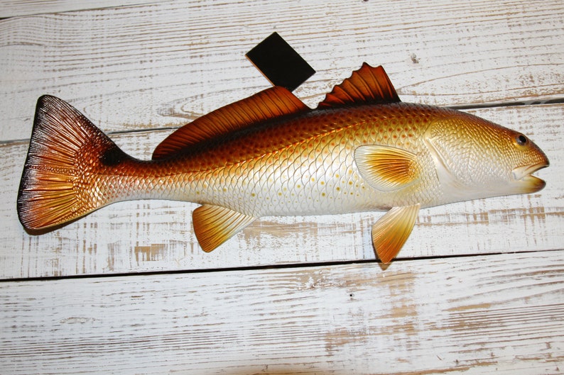 19 Red Fish Wall Decor Christmas Gift Free Shipping - Etsy