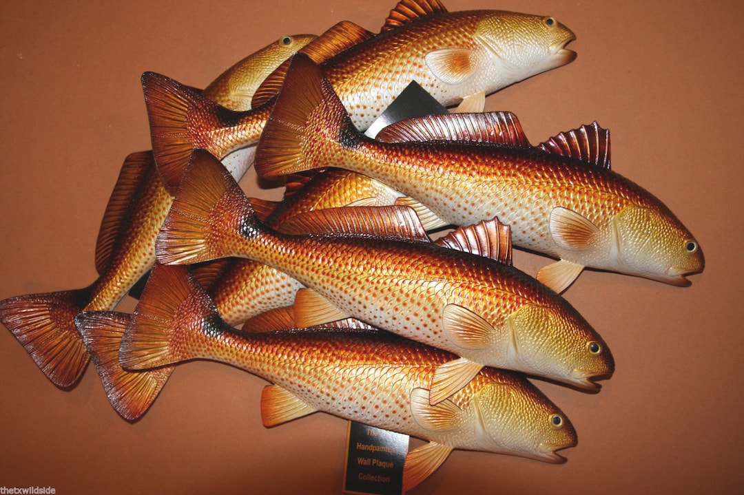 12, Resin Redfish, Project, Fish, Fish Accent, Fish Decor, Fish Mount ...