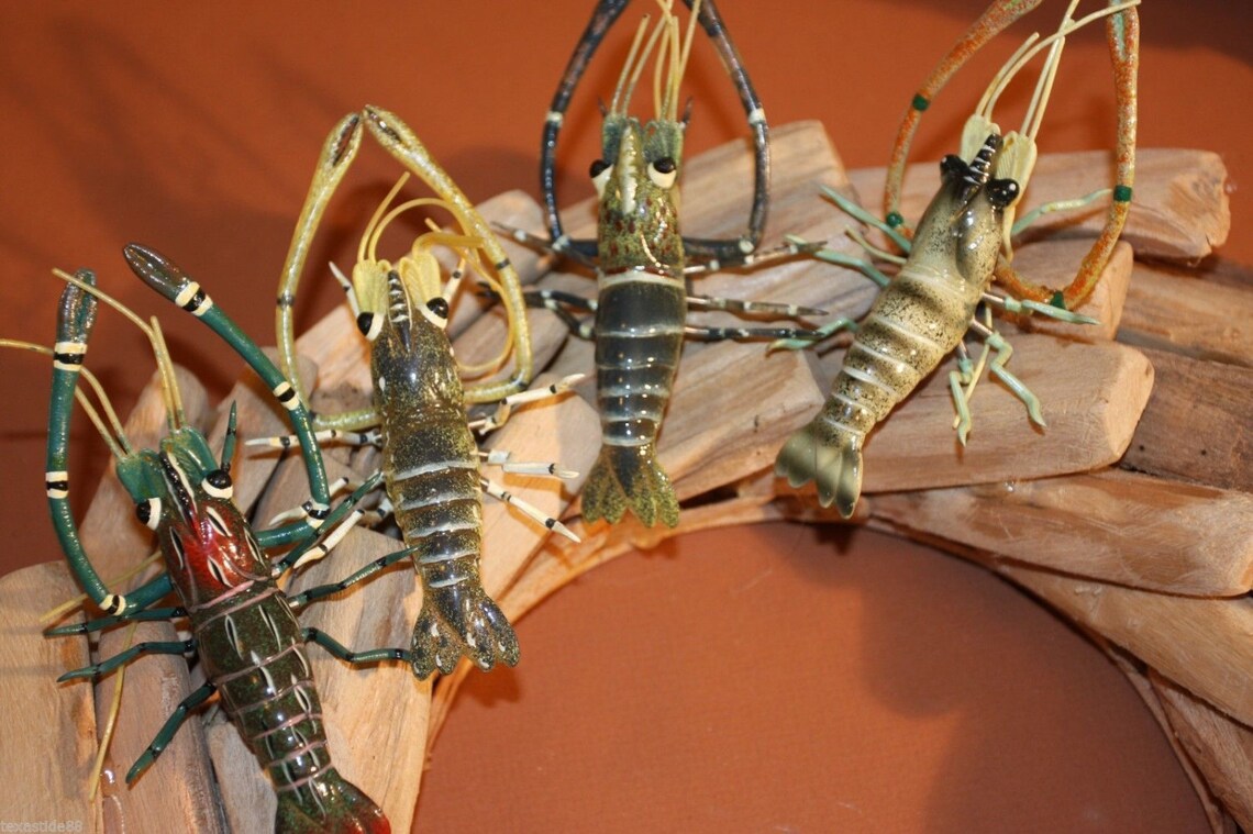 Restaurant Display Shrimp for seascape creation projects diy | Etsy