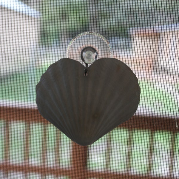 Window Peeper - Etsy