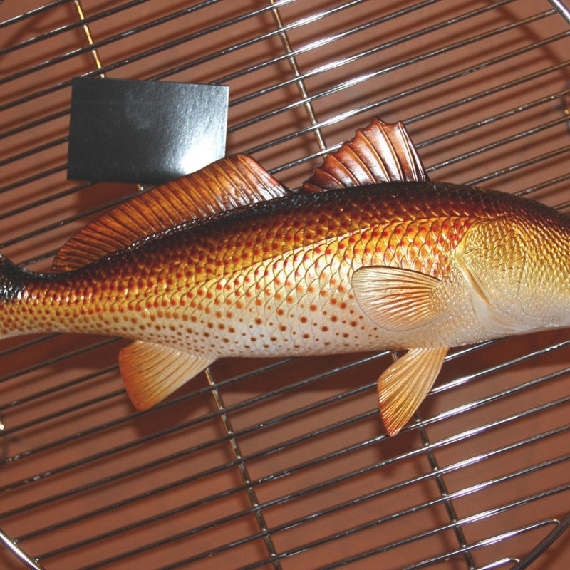 Realistic Fish Toys - Etsy
