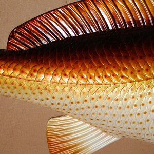 28" Redfish Wall Mount - Life Size and Species Correct- Trophy Fish ...