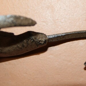 DRAGON WALL HOOKS, Spike Head, Med Evil Room Decor Home Decor, Kids ...