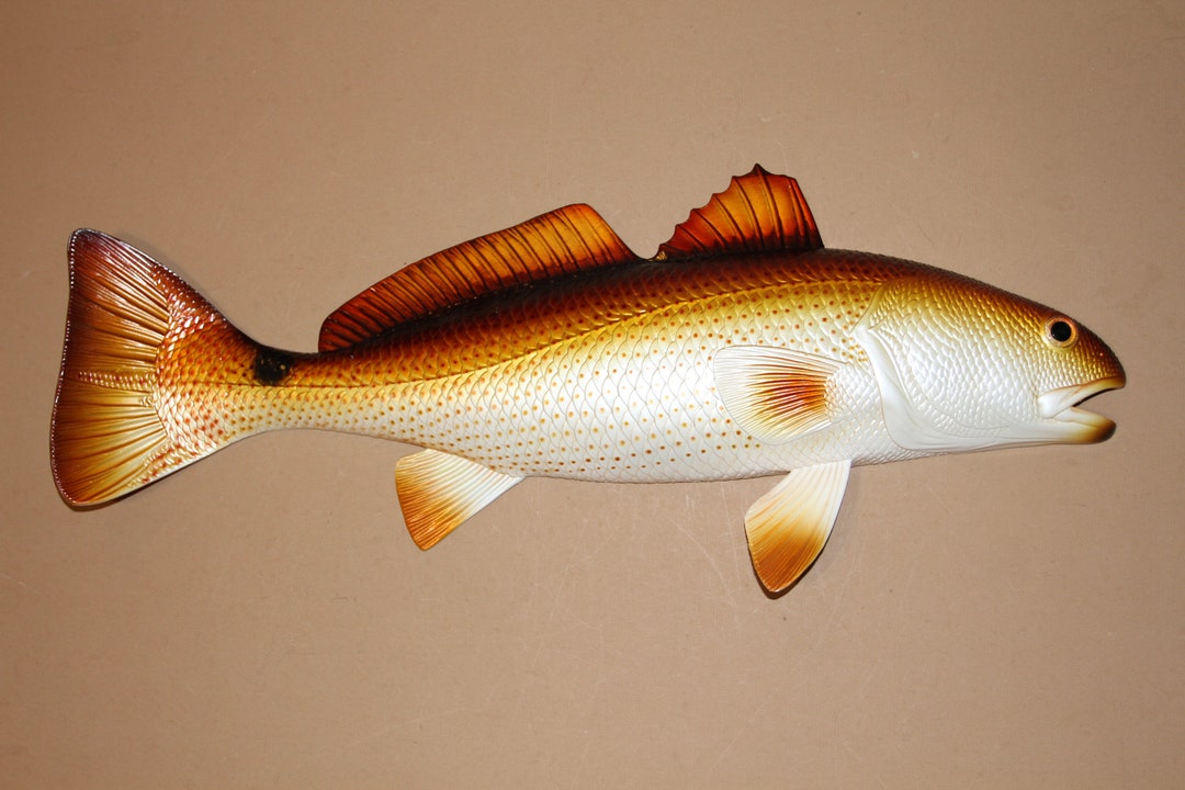 28 Redfish Wall Mount Life Size and Species Correct Trophy Fish Fathers ...
