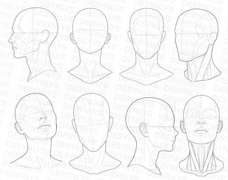190 Head Base Poses for Procreate | Face & Head Anatomy Reference ...