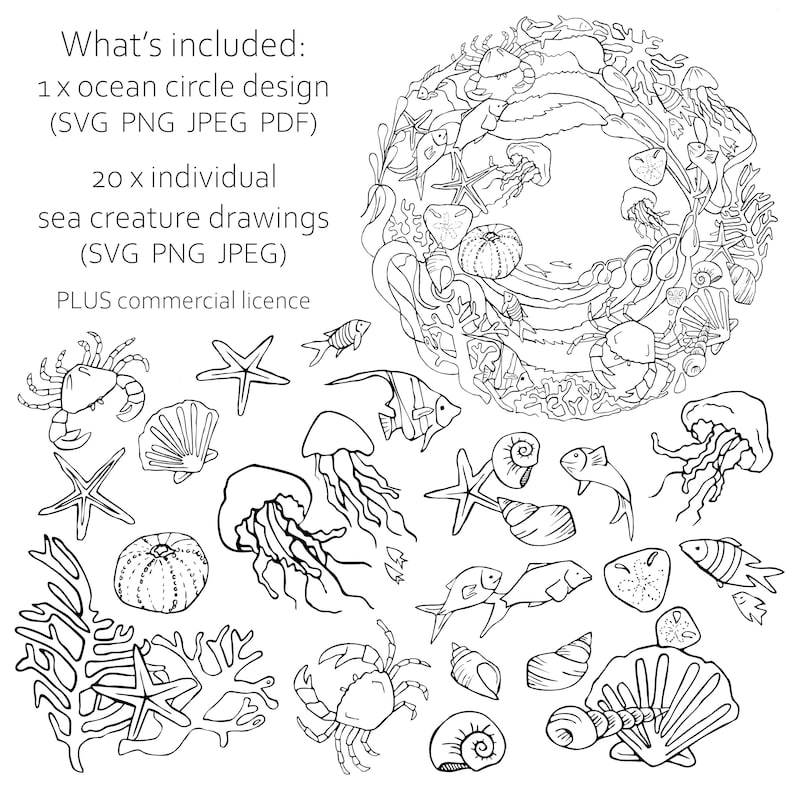 Ocean Life Clipart - Hand-drawn Design - Digital Download Files - Ocean ...