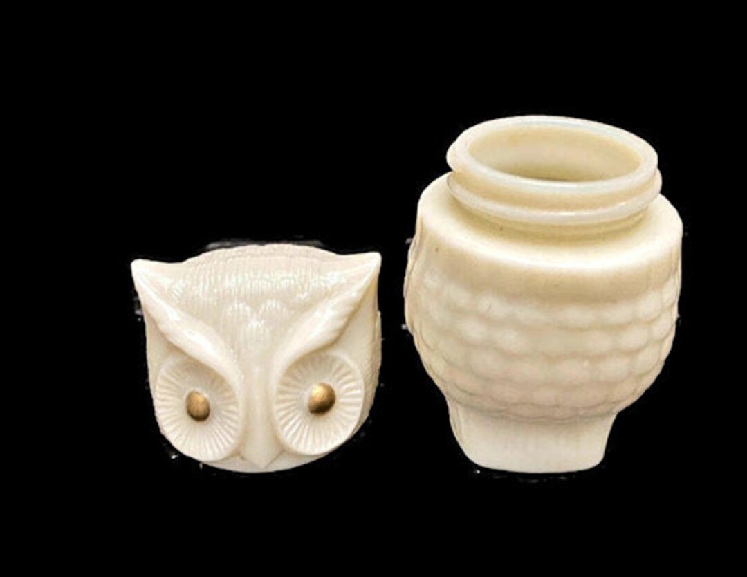 Vintage Avon Owl Perfume Bottle Decanter - Etsy