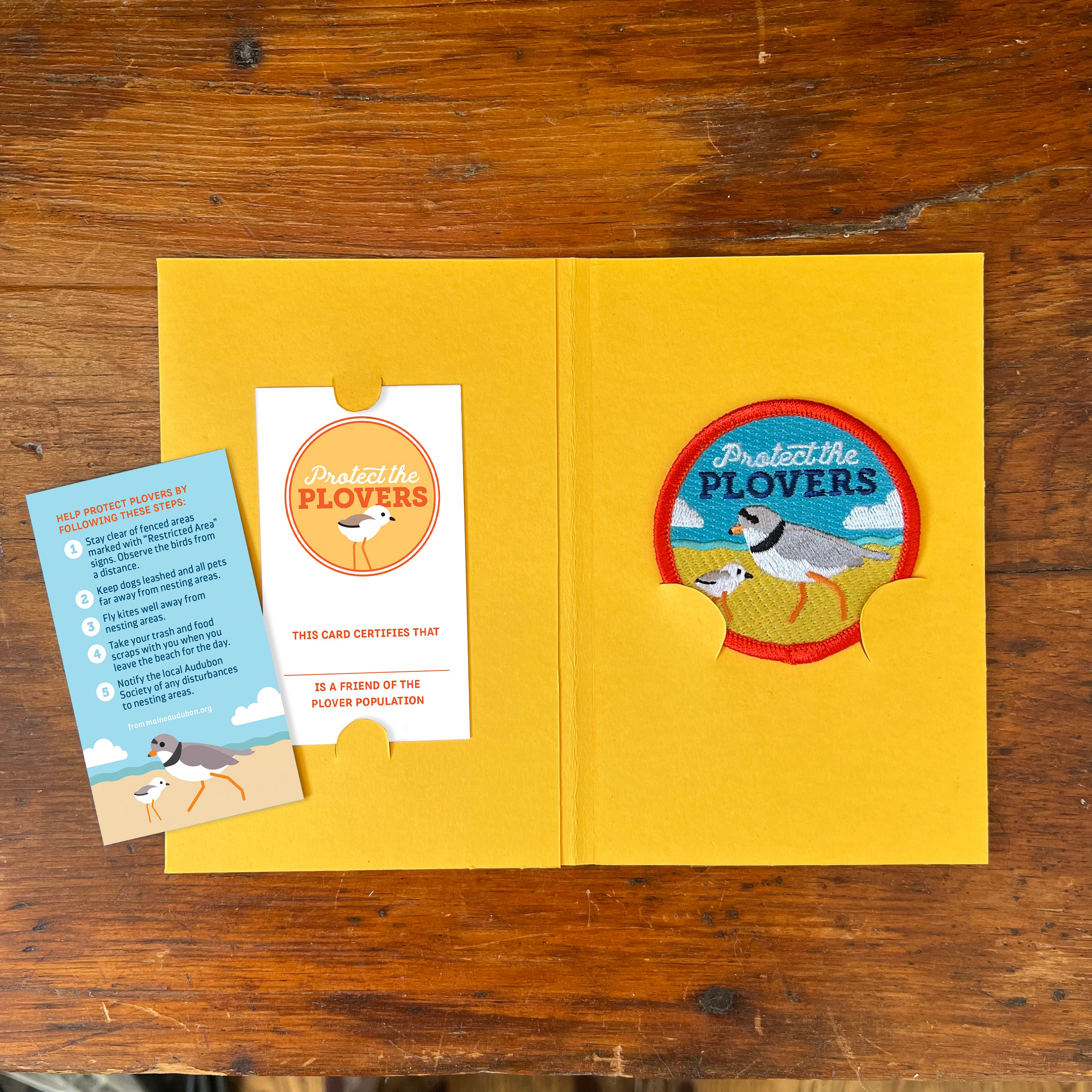 Protect the Plovers Iron-on Patch (with Optional Membership Kit) - Etsy