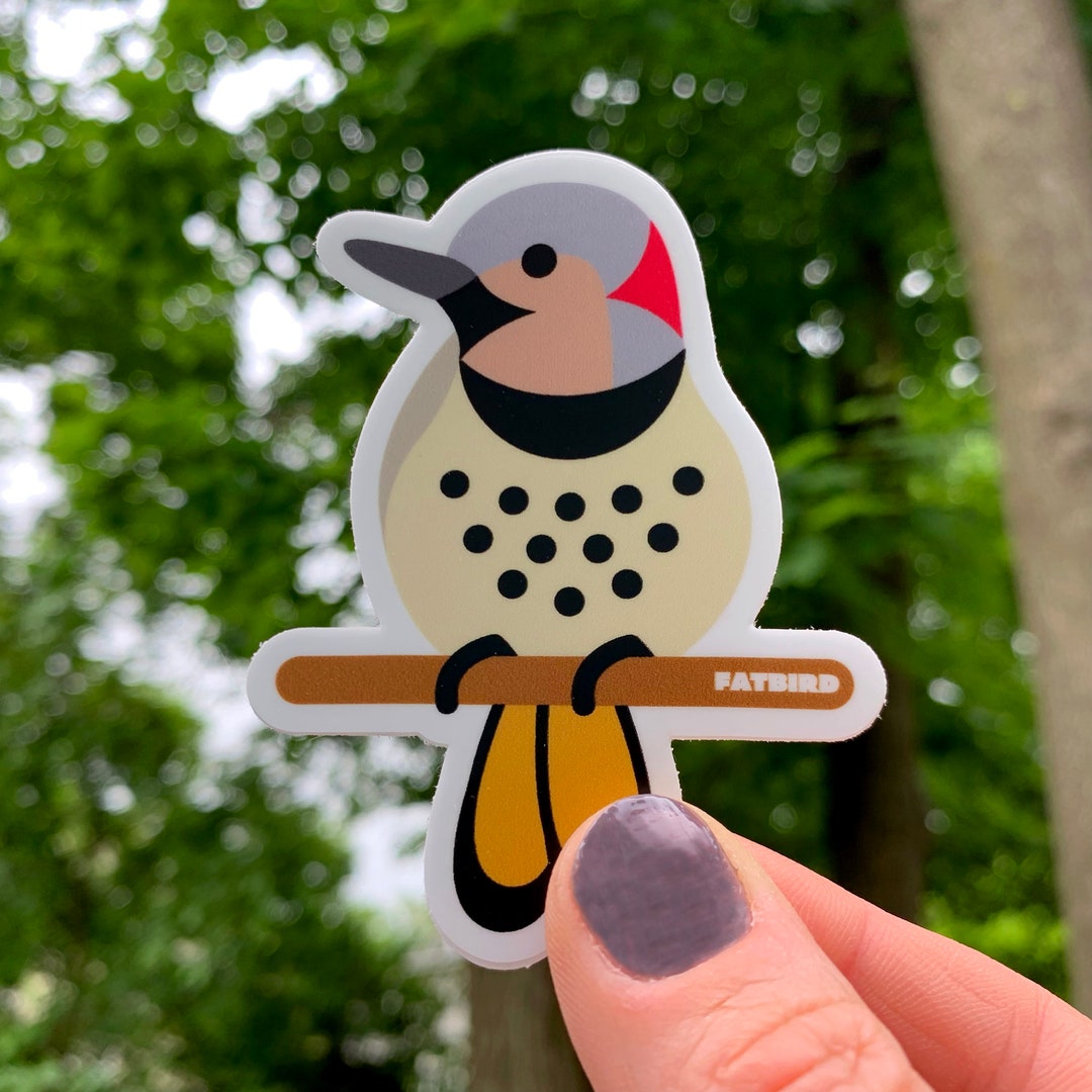 Northern Flicker Vinyl Sticker (3 Inch) - Etsy