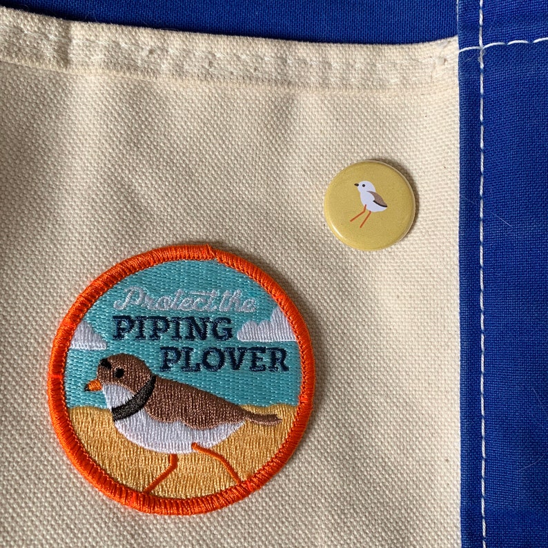 Piping Plover 1-inch Button Set - Etsy