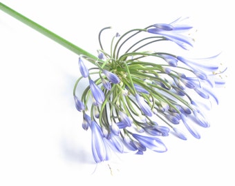 Etsy :: Your place to buy and sell all things handmade