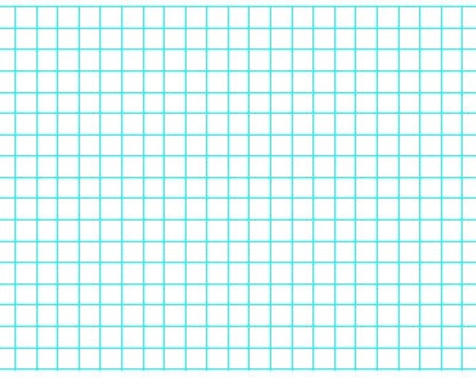 10 Pack of Large Sheet Format 1" Graph Paper 24" X 18" Blue Lines - Etsy