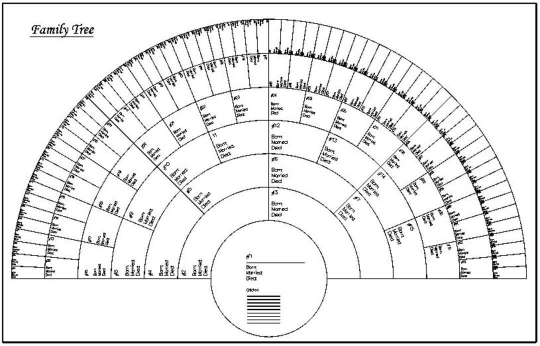 10 Pack of Large Family Tree Charts Fan Style 36" X 24" - Etsy