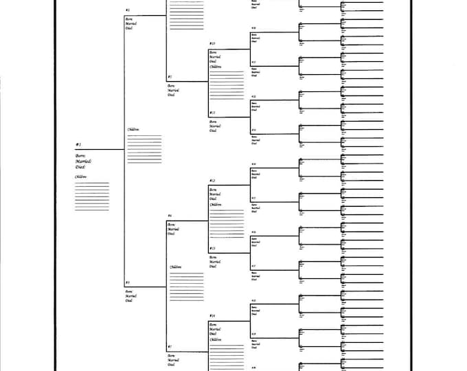 5 Pack of Large Family Tree Charts Bracket Style 18" X 24" - Etsy
