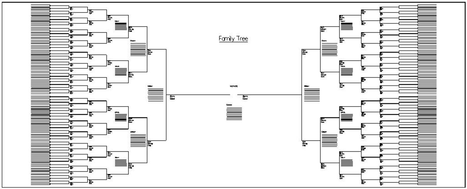 5 Pack of Large Family Tree Charts Bracket Style 60" X 24" - Etsy