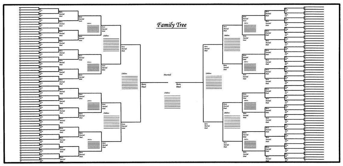 5 Pack of Large Family Tree Charts Bracket Style 48" X 24" - Etsy