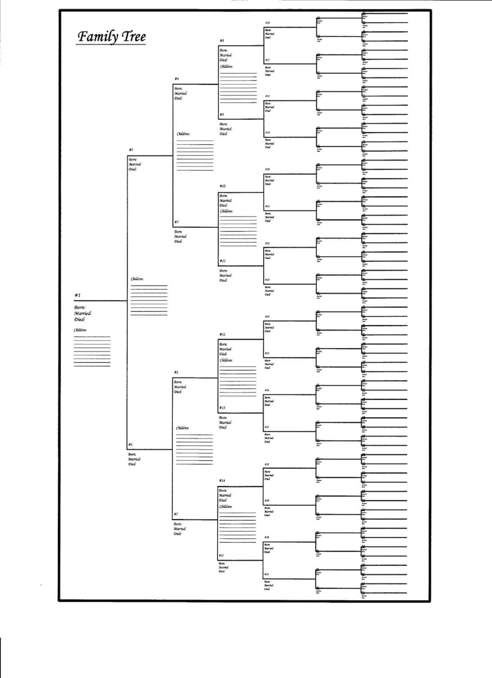 5 Pack of Large Family Tree Charts Bracket Style 24" X 36" - Etsy