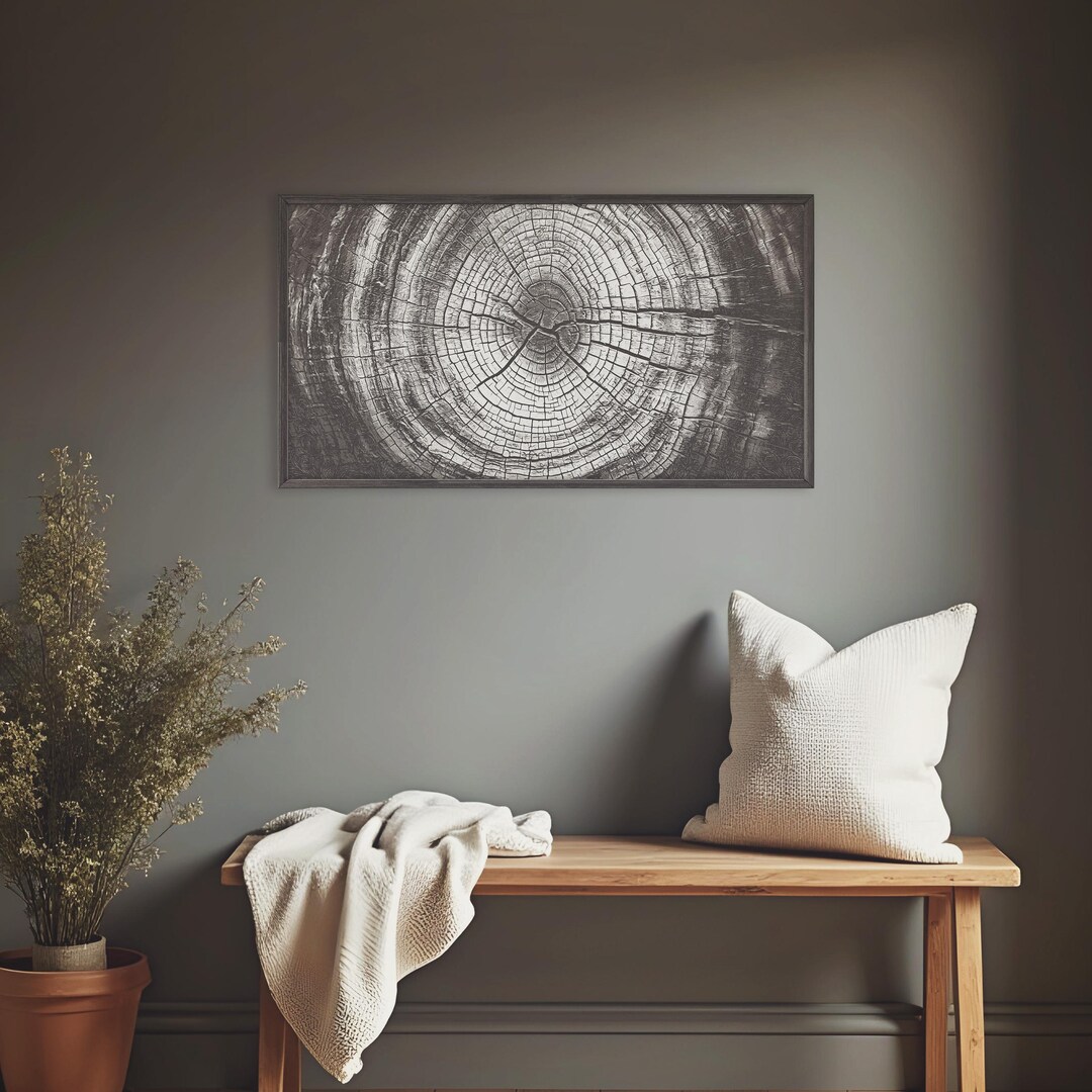 Tree Ring Framed Wall Art - Abstract Tree Ring Wall Decor - Modern ...