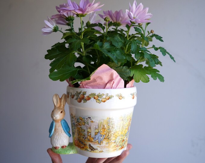 EASTER Beatrix Potter’s Peter Rabbit Planter - Etsy