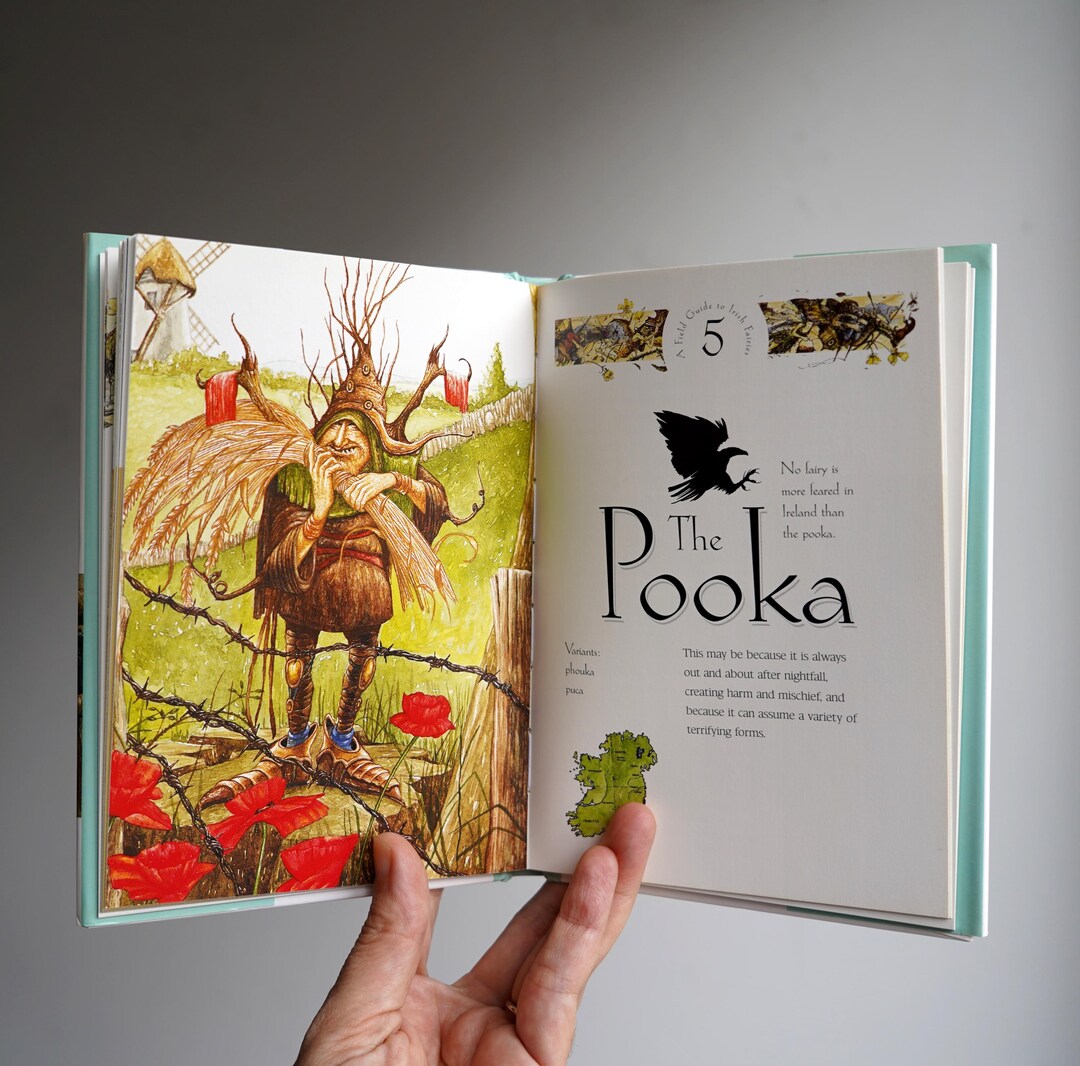 Field Guide to Irish Fairies by Bob Curran Book - Etsy