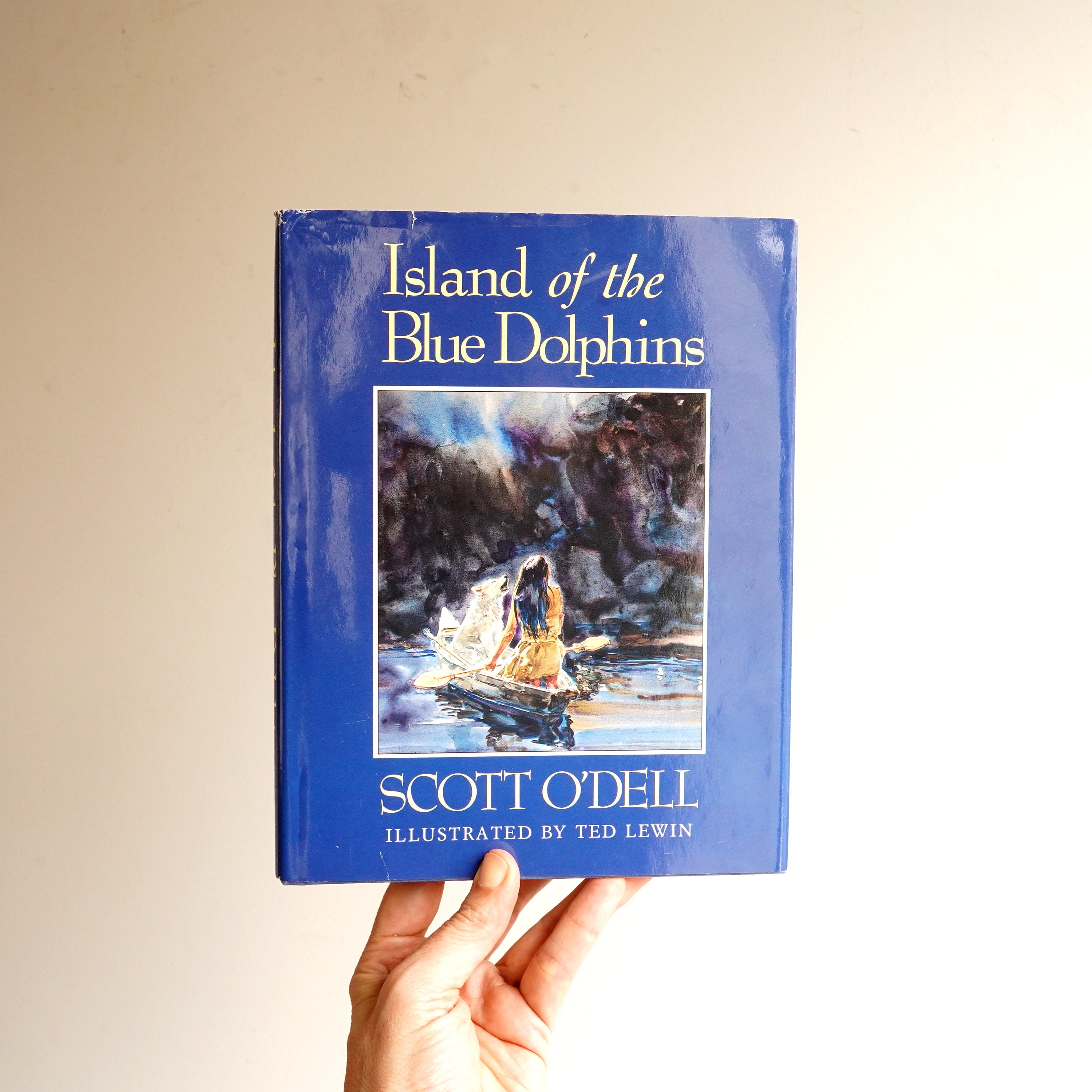Island Of The Blue Dolphins Book Cover