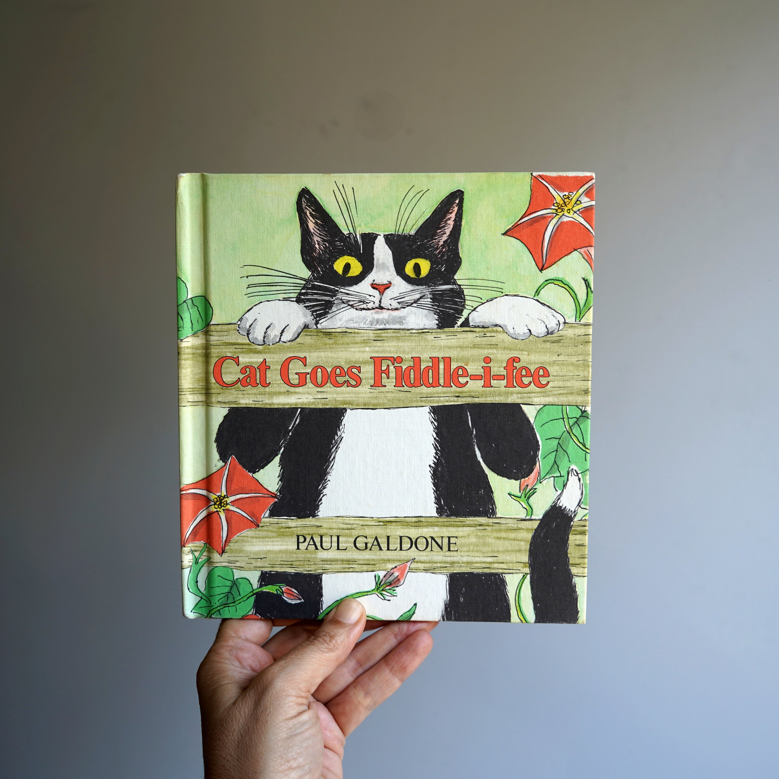 The Cat And The Fiddle Book