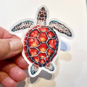 Sea Turtle Sticker, Turtle Sticker for Gif, Sea Turtle Decal, Laptop ...