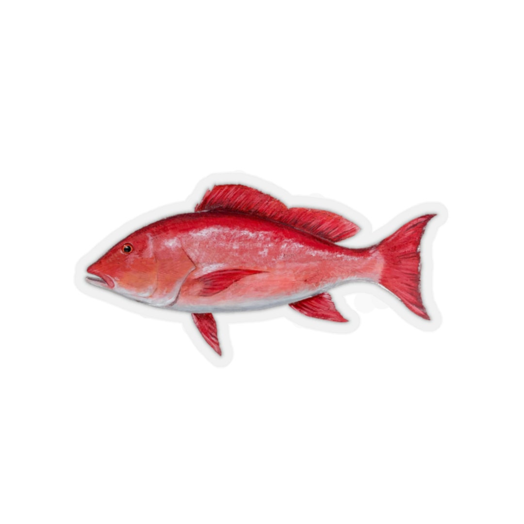 Snapper Sticker, Fishing Sticker, Red Snapper Sticker, Red Snapper - Etsy