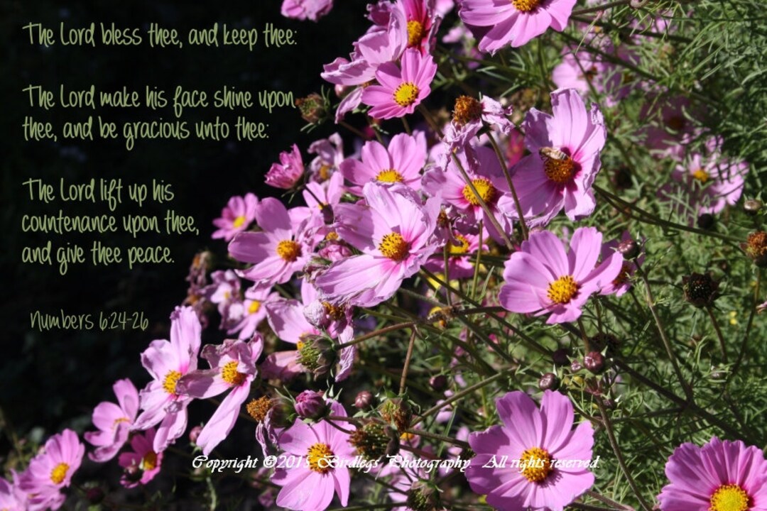 Blessing-cosmos With Bible Verse - Etsy