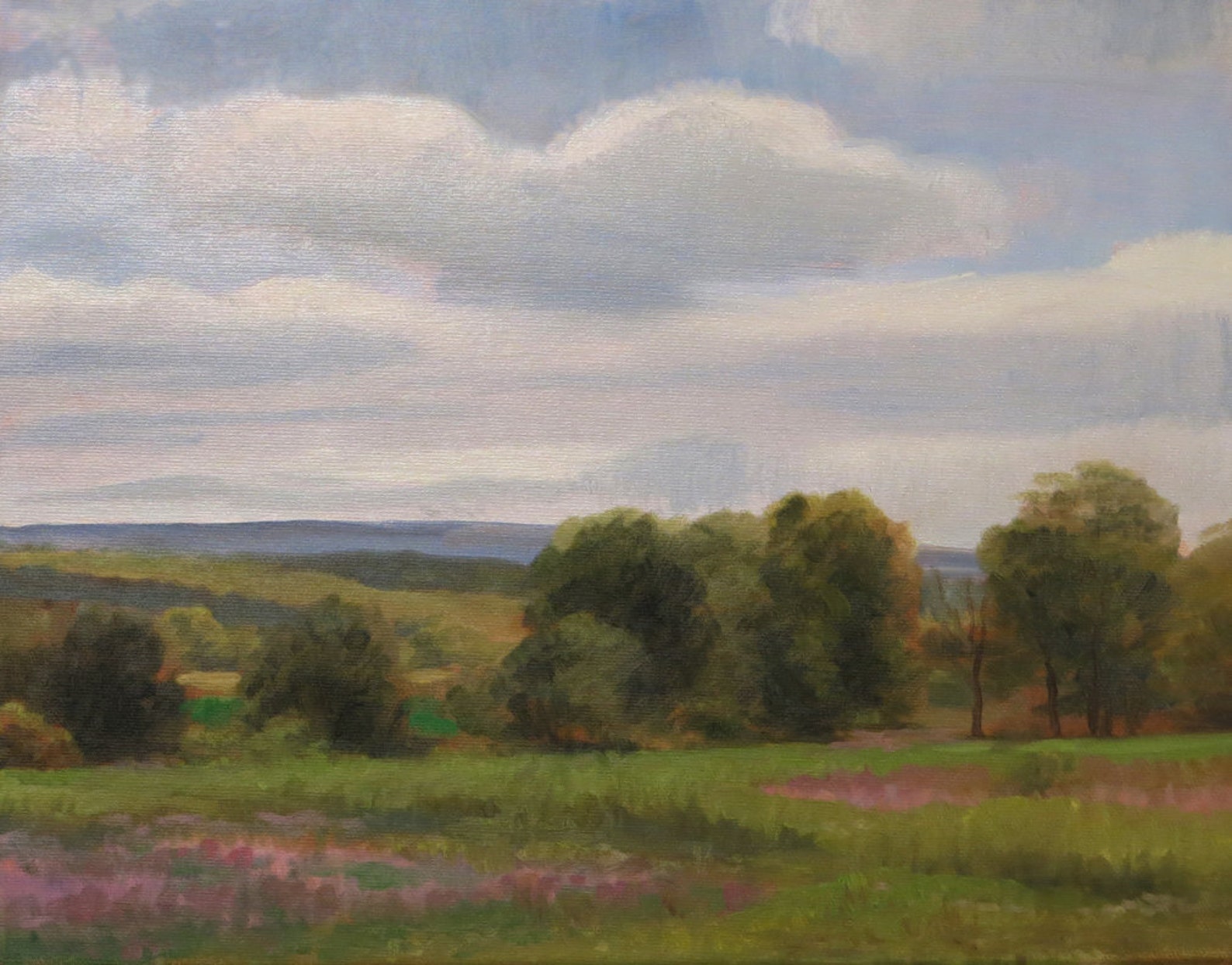 June Landscape With Field, Plein Air June Landscape, Oil Painting of ...