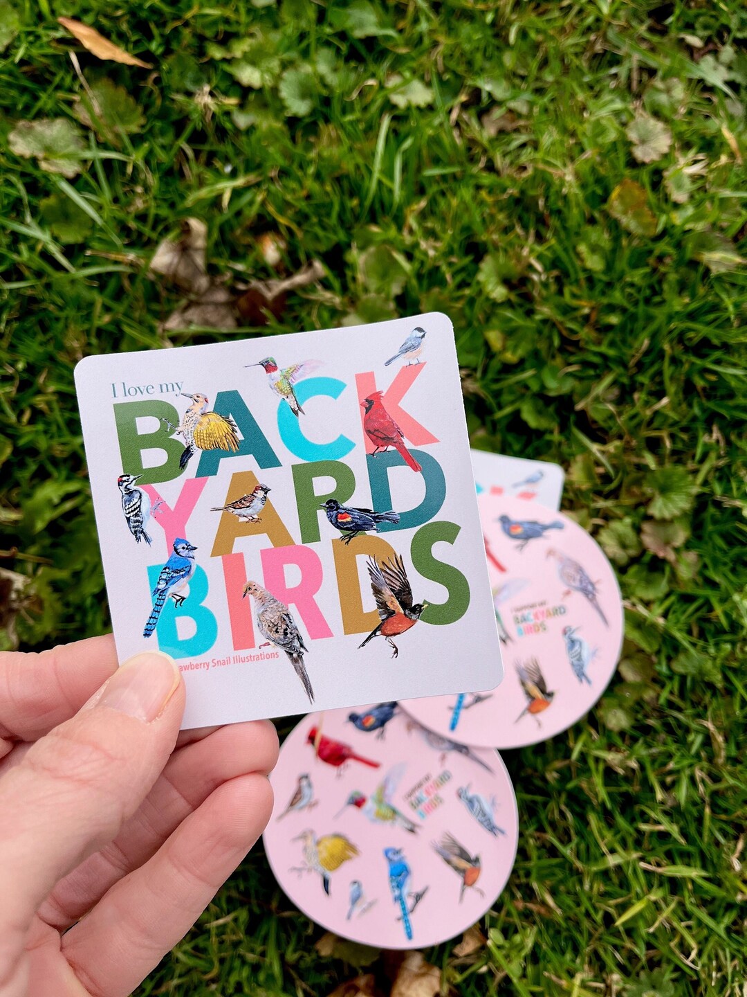 Vinyl Bumper Sticker Set Backyard Birds Bird Illustration - Etsy