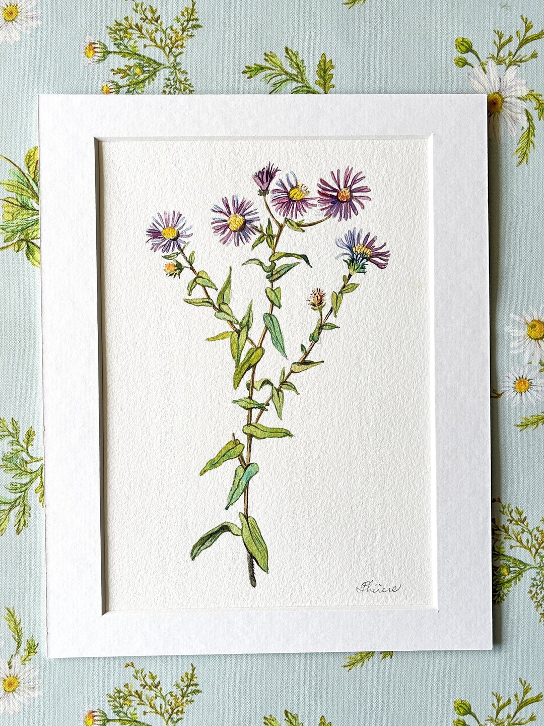 Aster, Original Watercolour Painting, Vintage-style, 8 X 10 Inches - Etsy