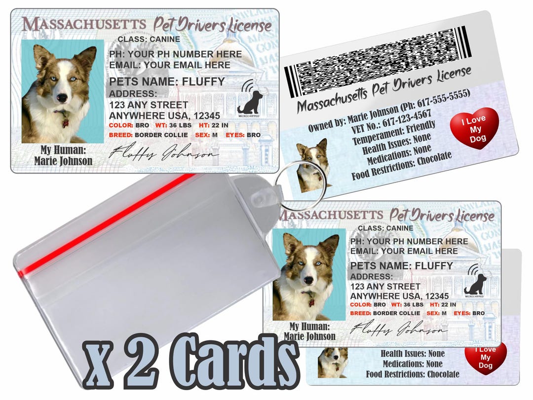 Personalized Pet Driver's License – Massachusetts, Dog Cat ID Tag (2 ...