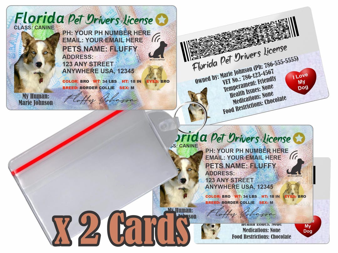 Personalized Pet Driver's License – Florida, Dog Cat ID Tag (2 Cards ...