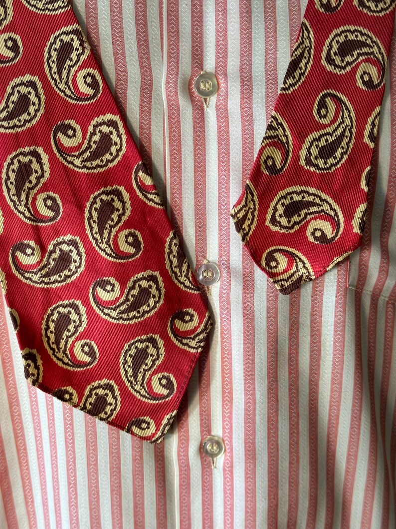 Vintage MENS Bold Buccaneer for Hastings Red, Brown and Tan Paisley ...