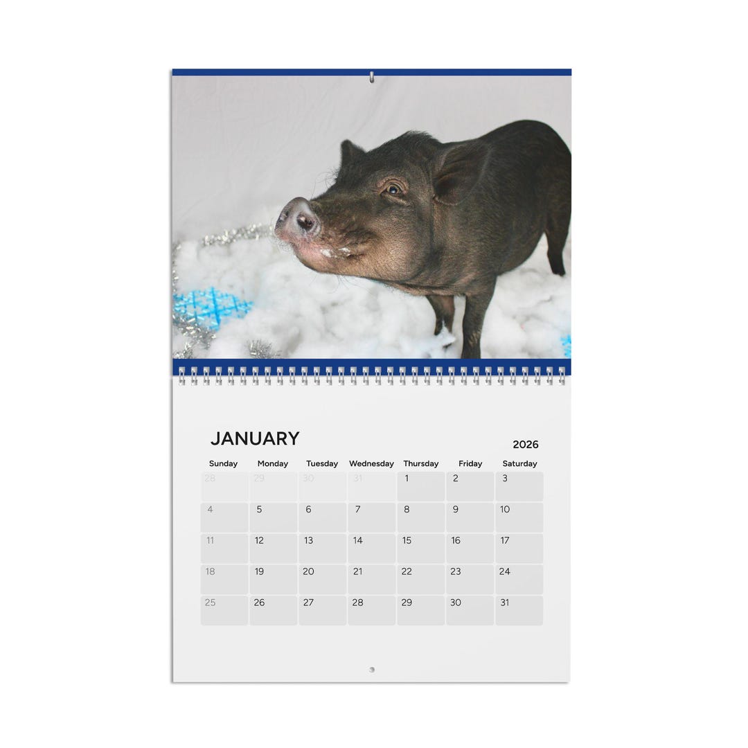 Chucky the Mini Pig Calendar 2026 - Etsy