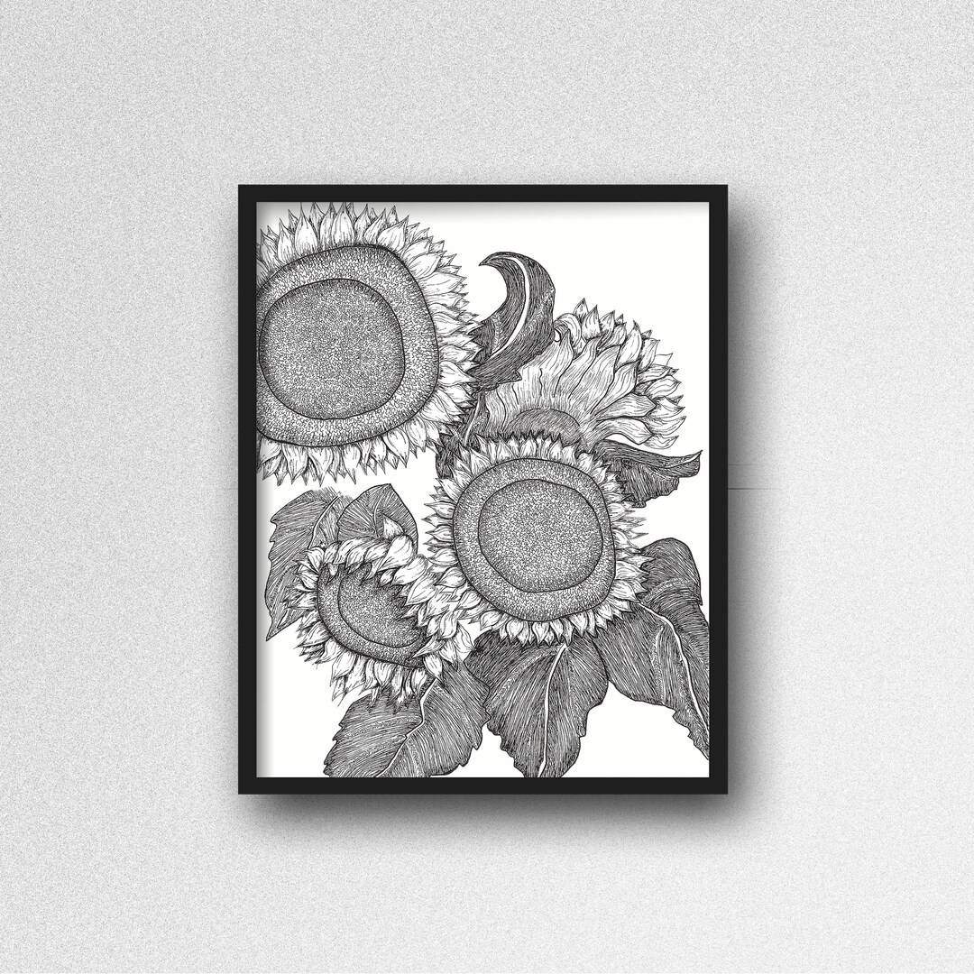 Digital Download Sunflower Ink Illustration Art Print - Etsy