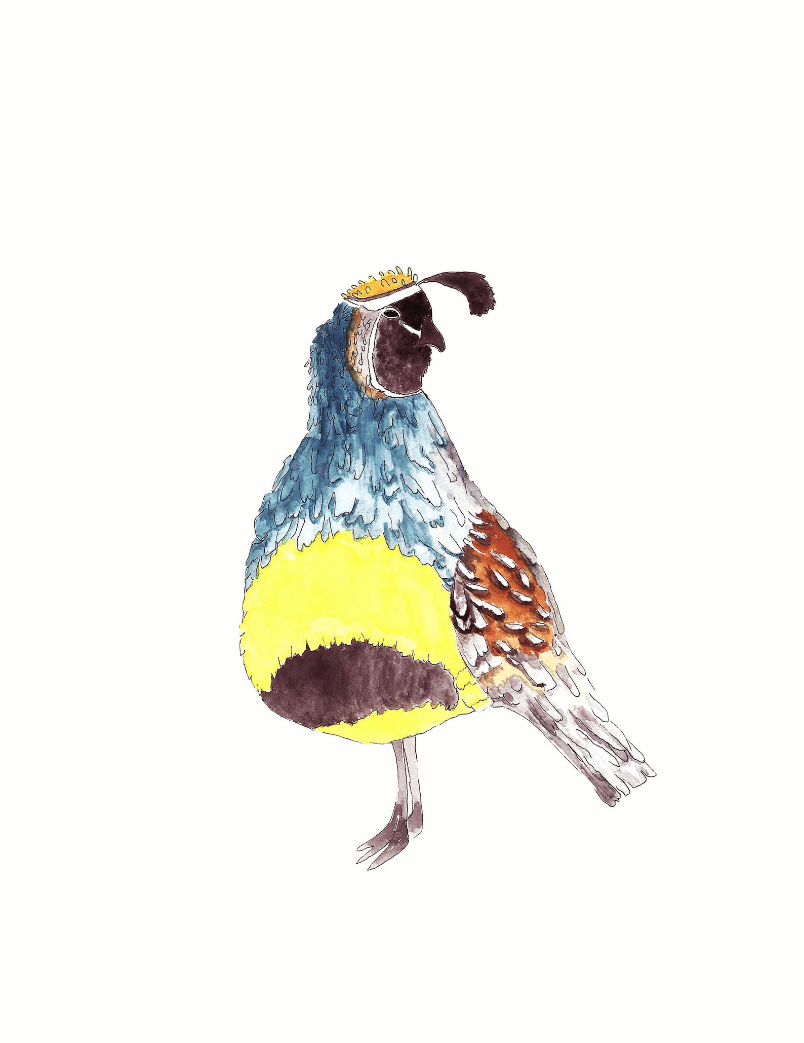Quail Bird Instant Download Digital Art Print. Bird Wall Art. Wild Life ...