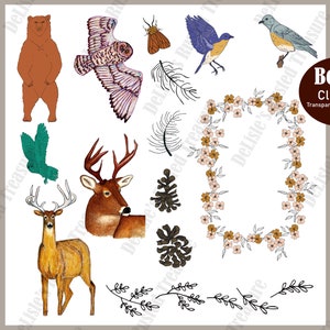 Woodland Digital Paper Bundle, Forest Animals Printables, Digital ...