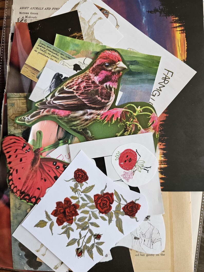 Junk Journal Collage Kit 50+ Unique Vintage and Hand Crafted Papers ...