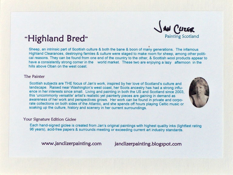 Sheep in Green Pasture With Seagull - MINI GICLEE - Etsy