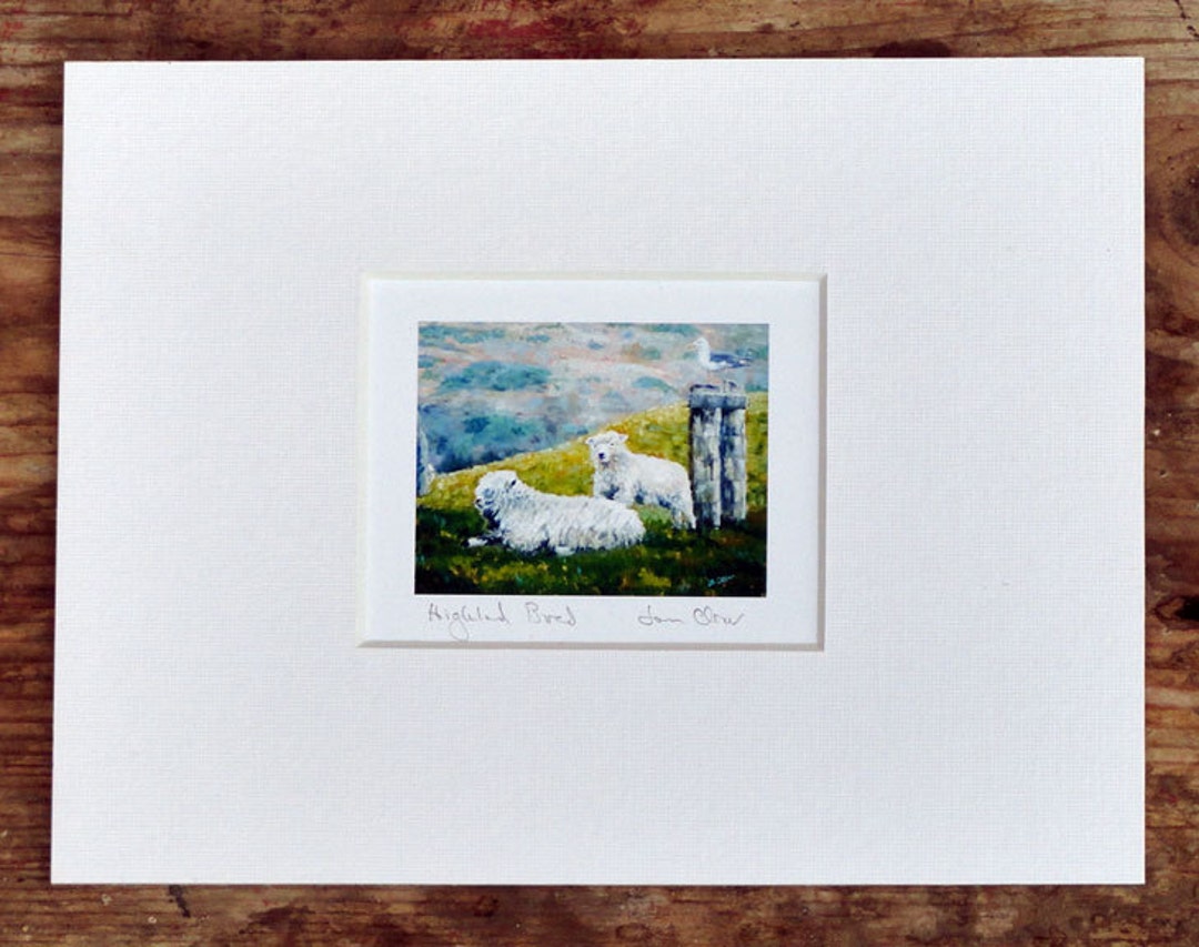 Sheep in Green Pasture With Seagull - MINI GICLEE - Etsy