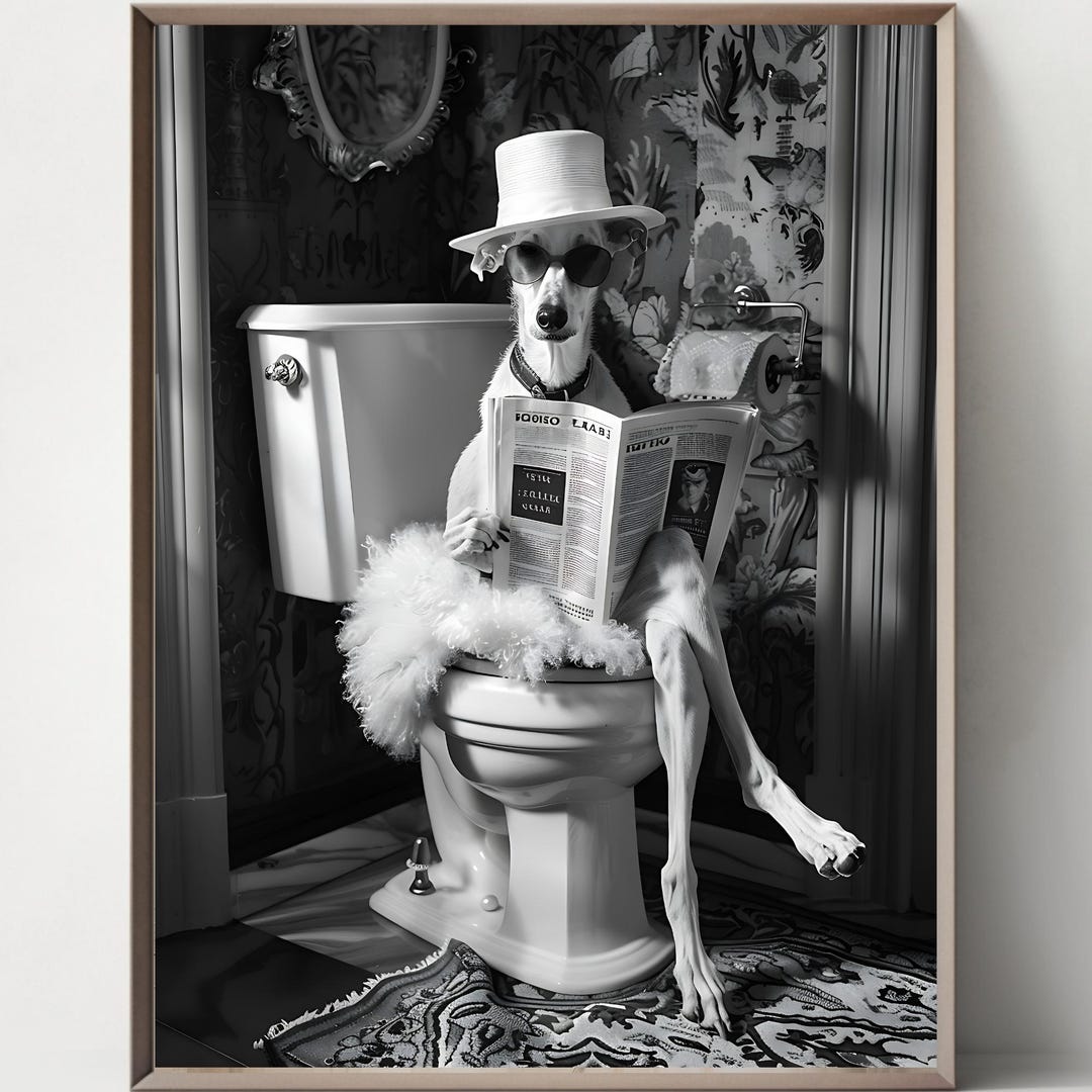 Set of 5 Funny Whippet Bathroom Art Prints, Dog on Toilet Set (digital ...