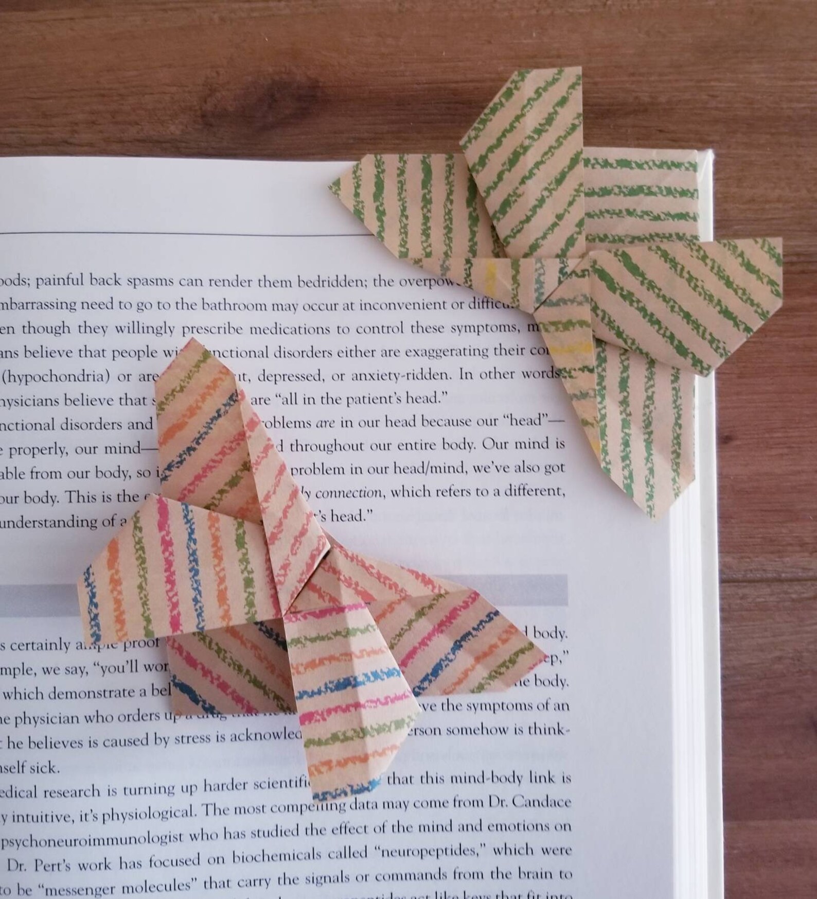 Butterfly Bookmarks Origami Butterfly Bookmarks Corner Etsy
