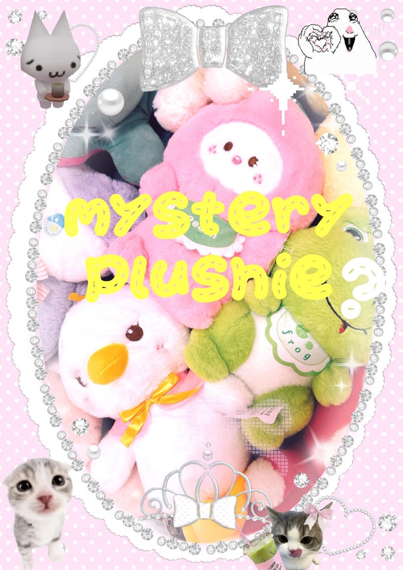 Japanese Mystery Plush Box