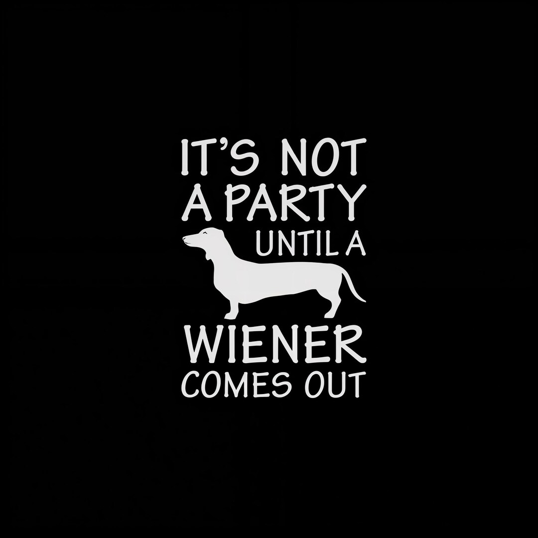 It's Not a Party Until a Wiener Comes Out - Hoodie - Etsy