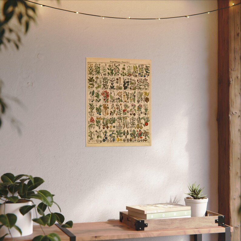 Vintage Botanical Chart Digital Download | Herb & Fruit Illustration ...