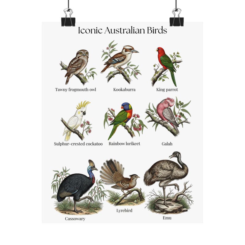 1960 Australian Poster - Etsy Australia