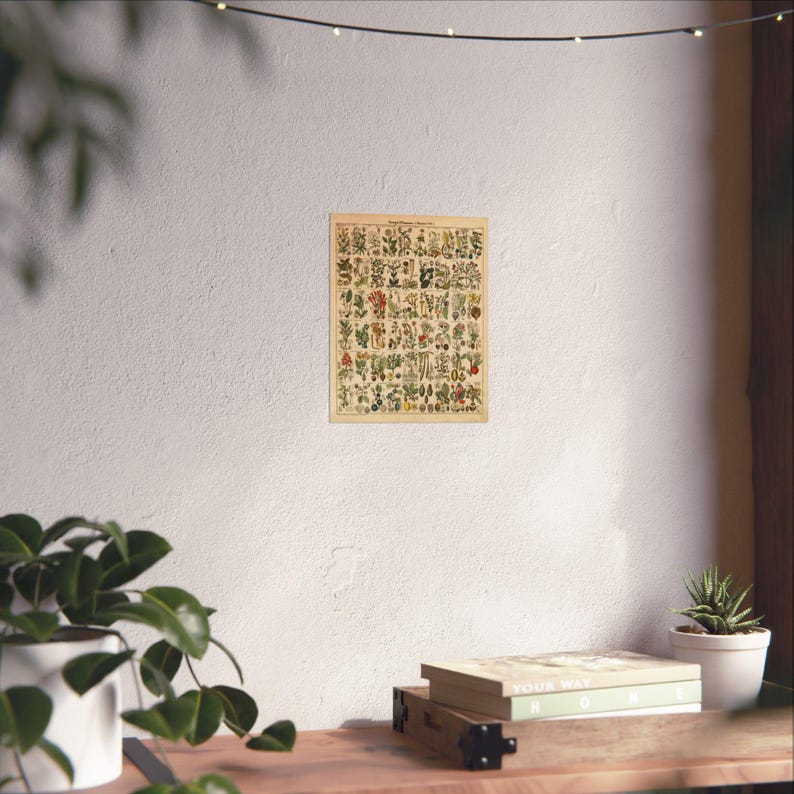 Vintage Botanical Chart Poster - Herb & Fruit Illustration - Antique ...